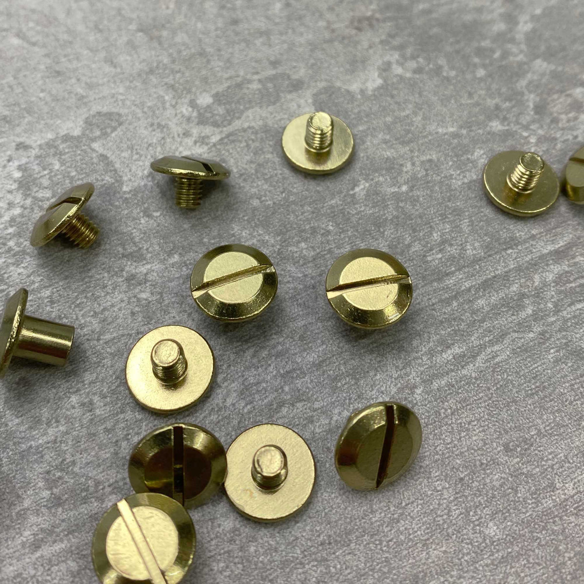 Chicago Screws - Bevel Cap - Solid Brass – Beamhouse Leather